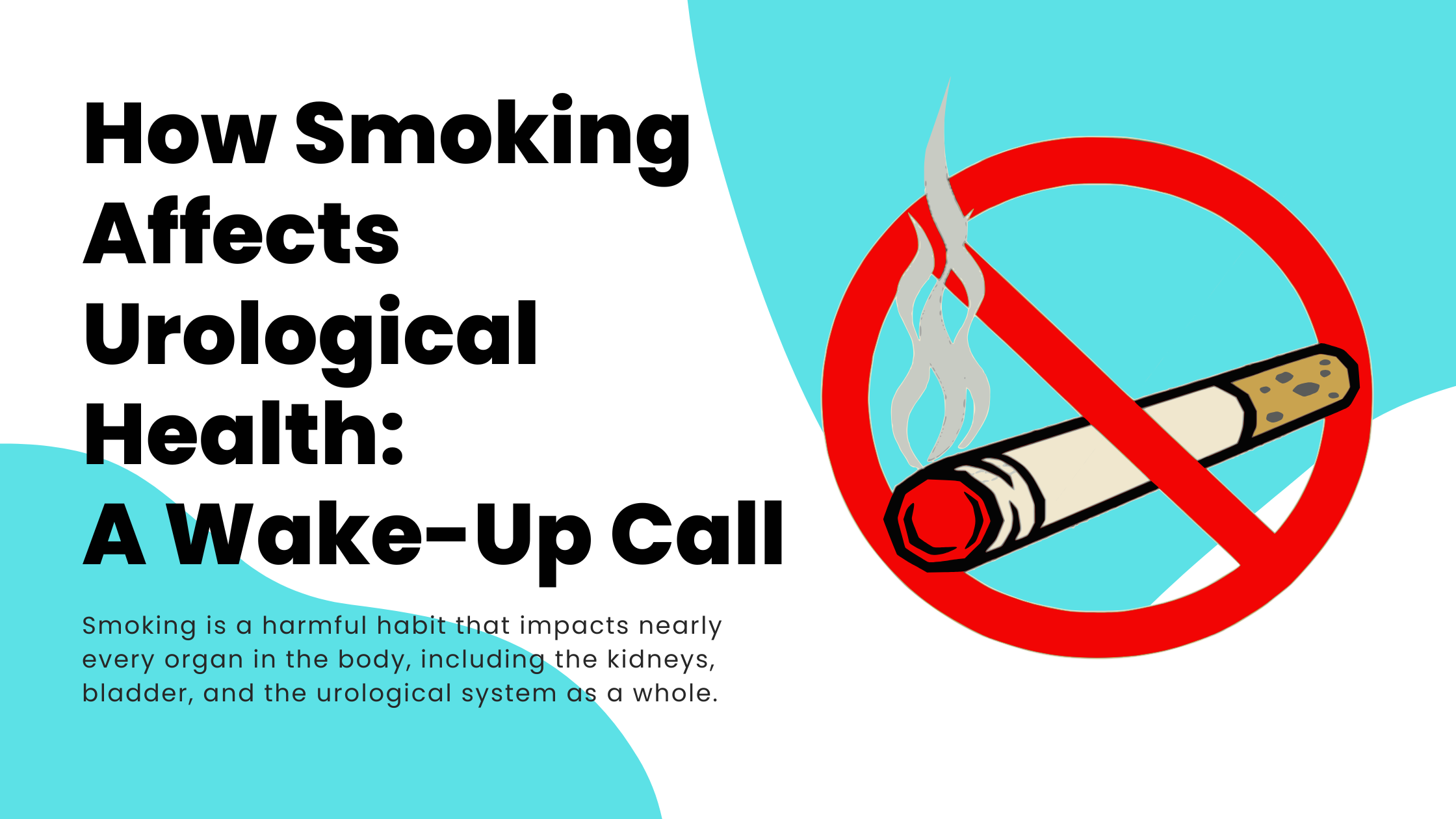How Smoking Affects Urological Health: A Wake-Up Call - vighnaharta ...